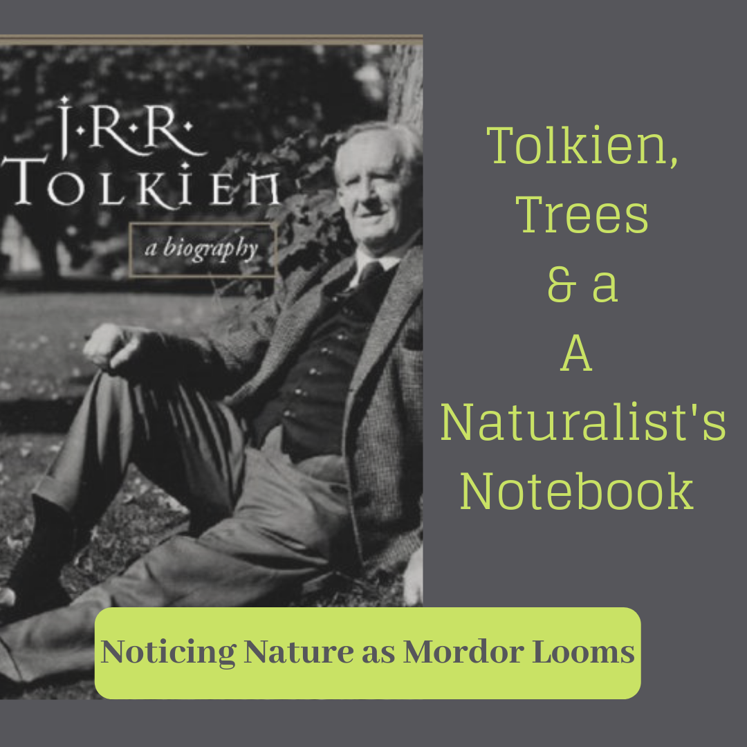 Tolkien – Sparrowfare